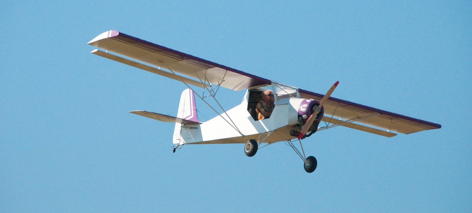 Standard Pilot Blog: Up and Down at OshKosh Airventure 2012