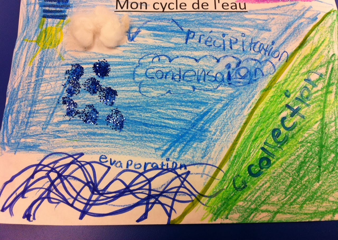 Le cycle de l'eau - Primary French Immersion Resources