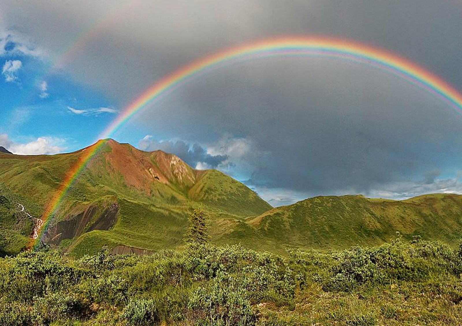 IN SEASON: Noah's rainbow