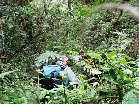 Sunrise On Africa's Peaks: Zambia – Mafinga Hills