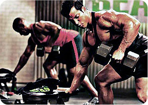 Xtreme Fitness For Life!: Body Beast, Asylum Vol. 1+2 Hybrid!