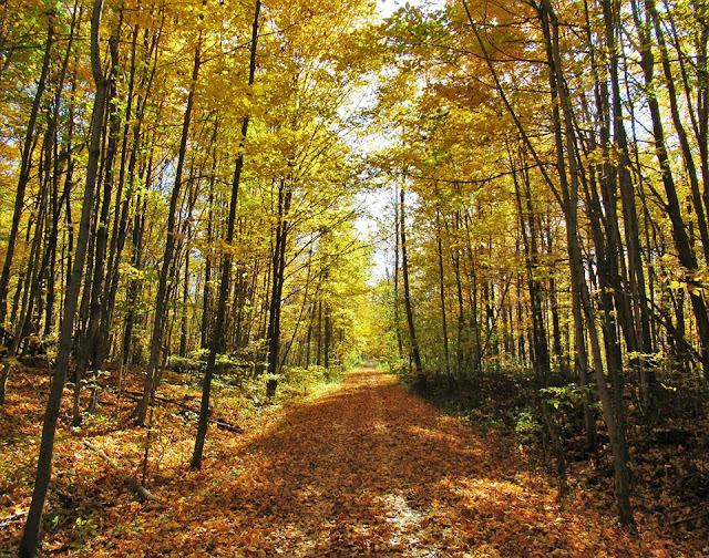 Trackside Treasure: The Company Photographer Returns Yet Again, Once Again