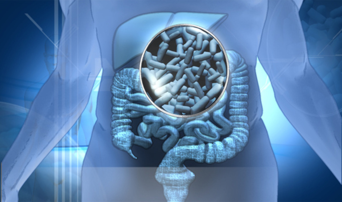 Los parásitos en los humanos: Los parásitos en los humanos - Intestinales