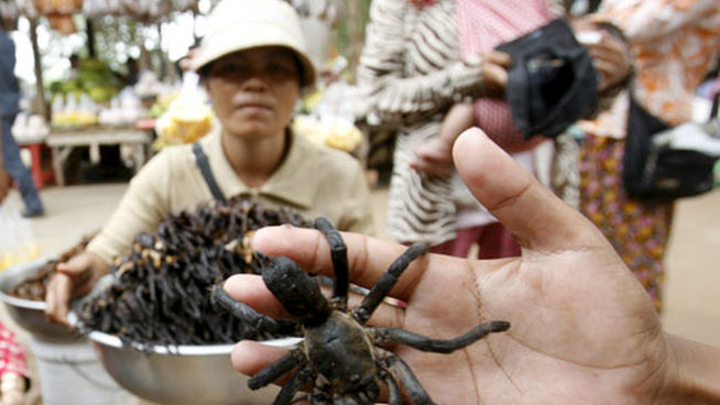 Los 10 comidas más escalofriantes del mundo - Curiosidades, Noticias ...
