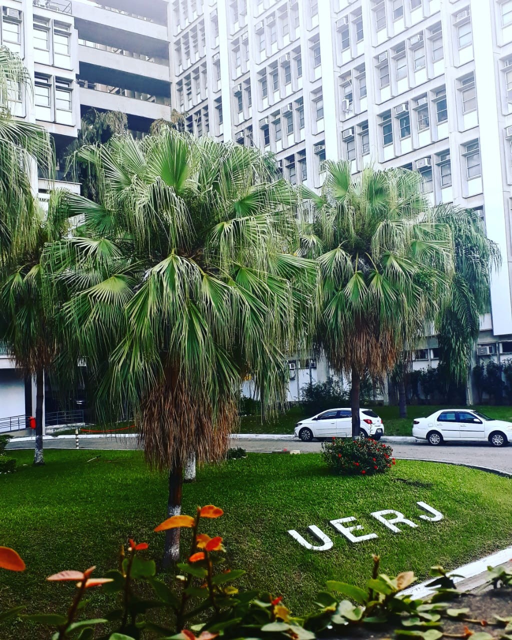 UERJ - 70 anos de excelência ~ JORNAL IMPACTO