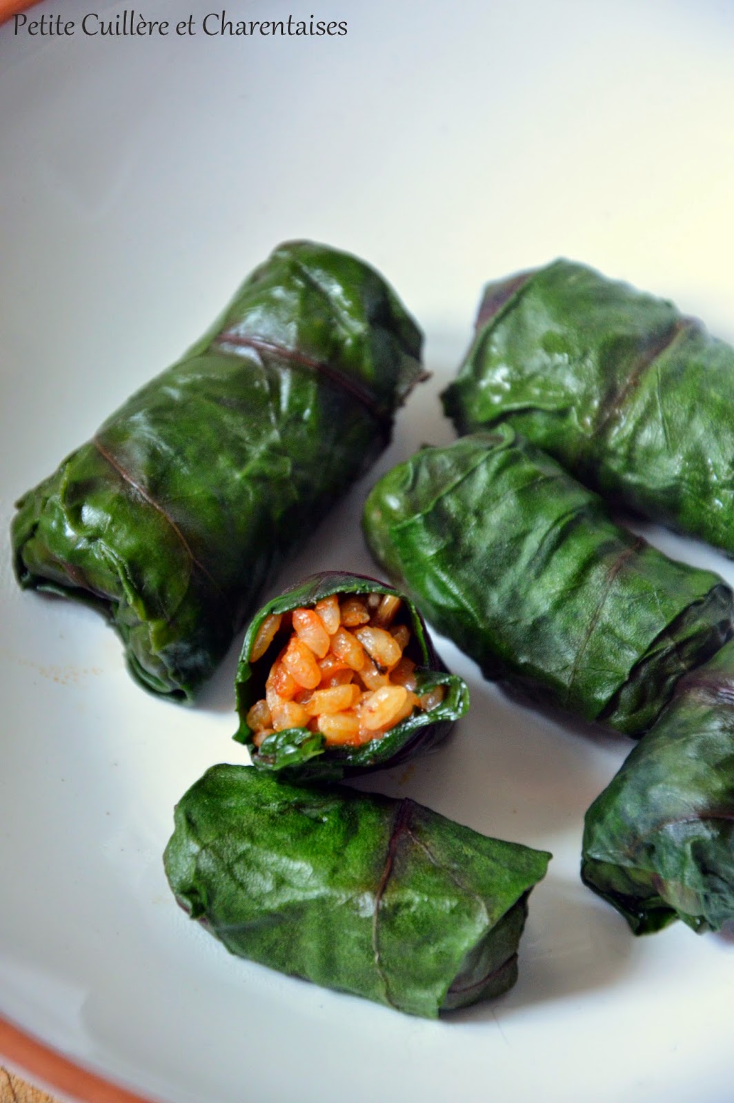 Petite Cuillère et Charentaises: Les Dolmadakia qui venaient du froid ...