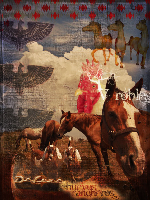 Graphic Design, Architecture and Photography