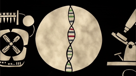 A GUIDE TO 2ND YEAR BIOCHEMISTRY - THE CHEMISTRY BETWEEN YOU AND ...