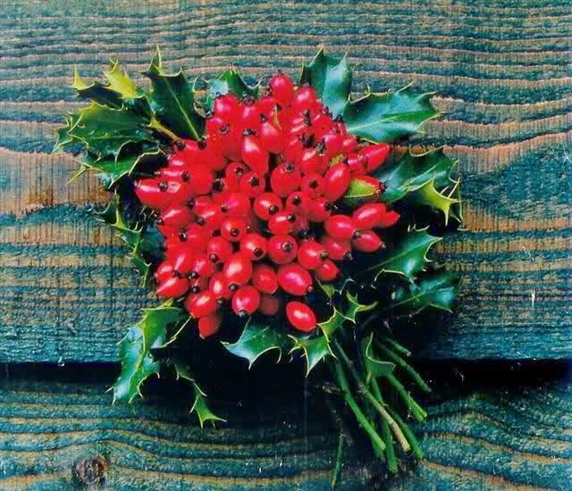 La grande classe de M. Baigue: "Demain dès l'aube..."