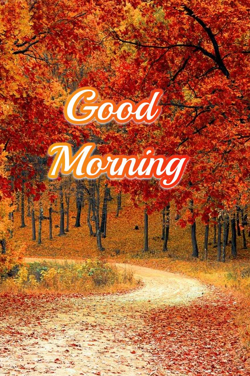 Good morning images Latest new hd pic for whatsapp & social media.