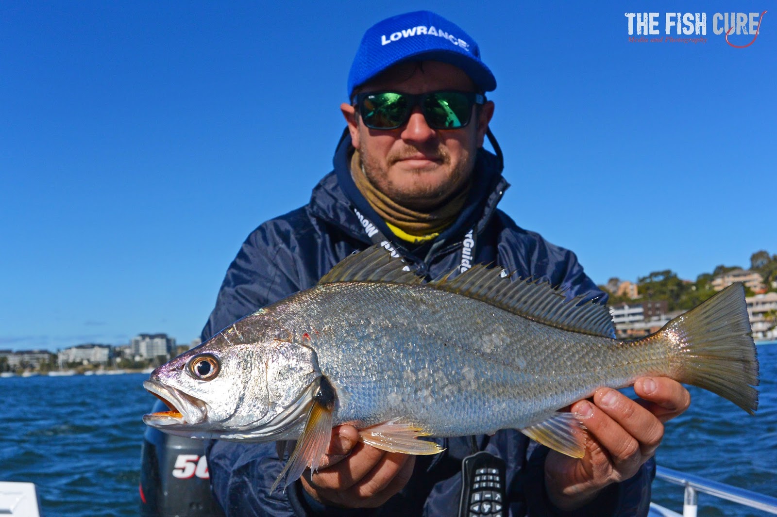 The Fish Cure: THE MULLOWAY CIRCLE