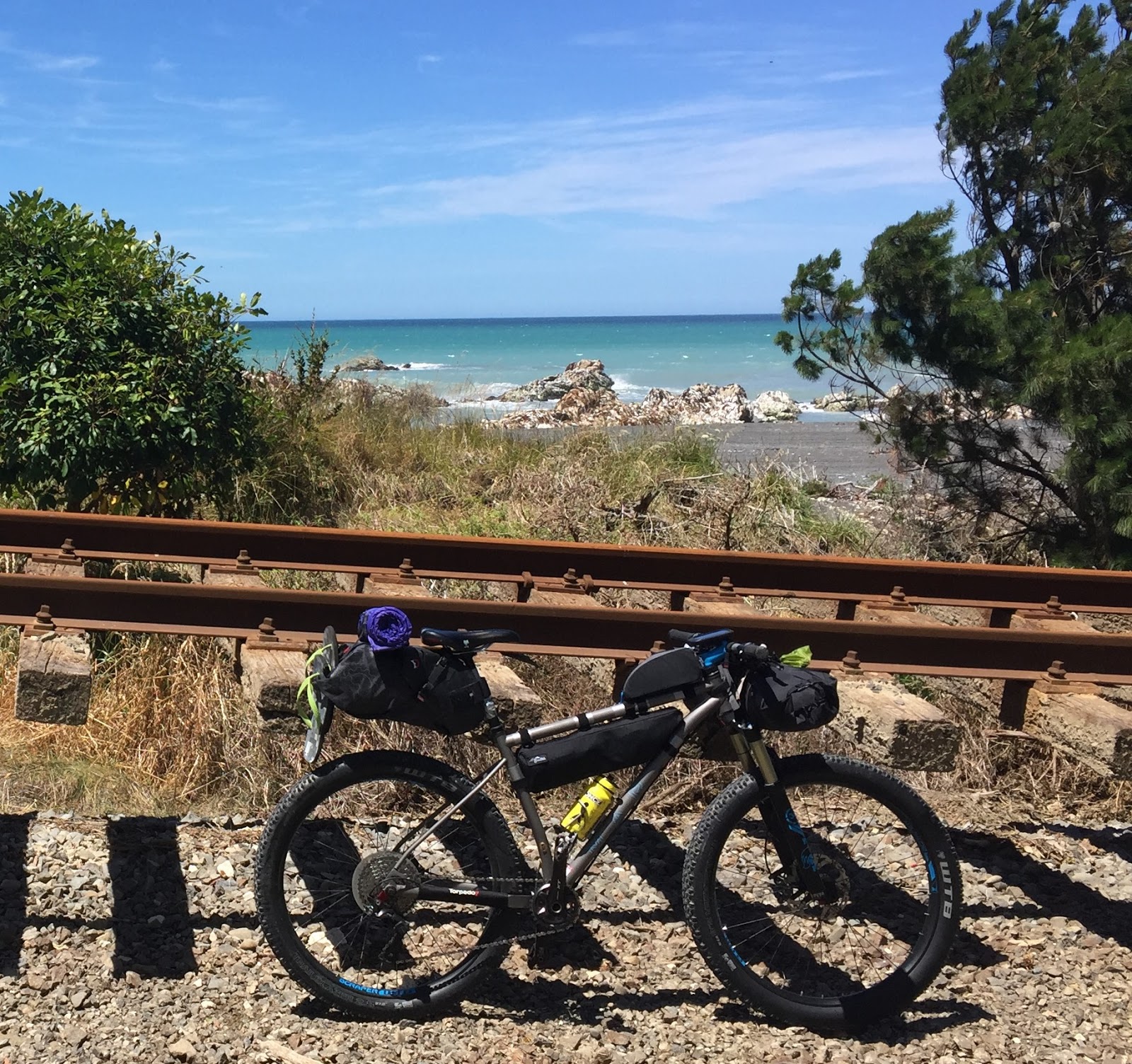 Kiwi Brevet : Rider Profiles 2019