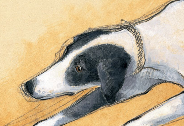 Freya Blackwood: BANJO & RUBY RED Becomes A Book