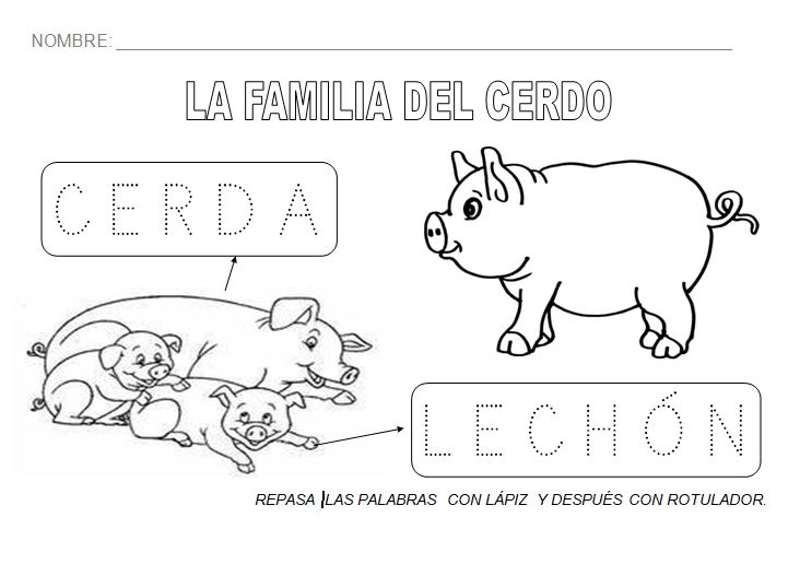 MAESTRAS DE INFANTIL COLEGIO BEETHOVEN: 3ª SEMANA : ANIMALES.