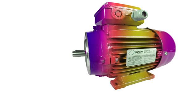 Custom electric motors from Gibbons - The Gibbons Group
