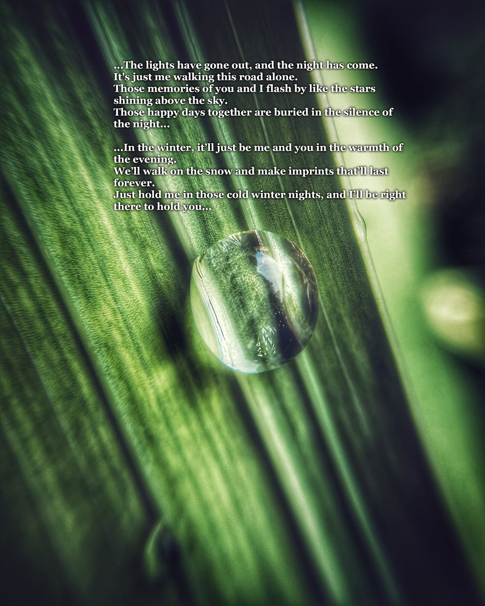 Poetry Book Covers Preview