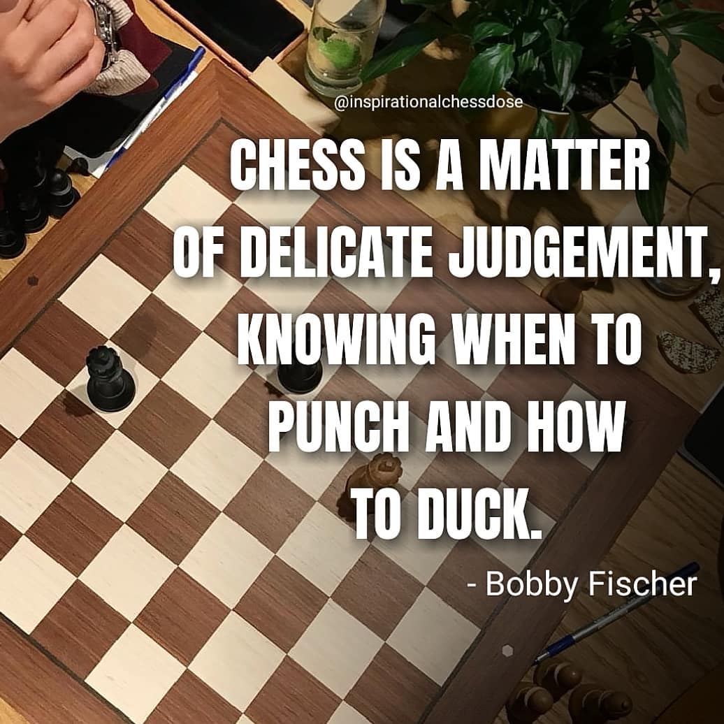 Why you should play chess? The ultimate IQ factor