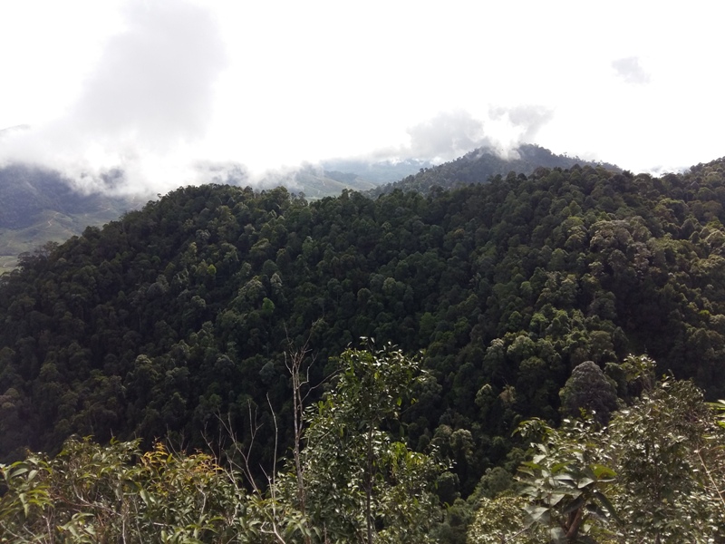 TRAVELOG: GUNUNG KEMERLONG SIK KEDAH : Cabaran Pacat...Boleh cuba KEDA ...