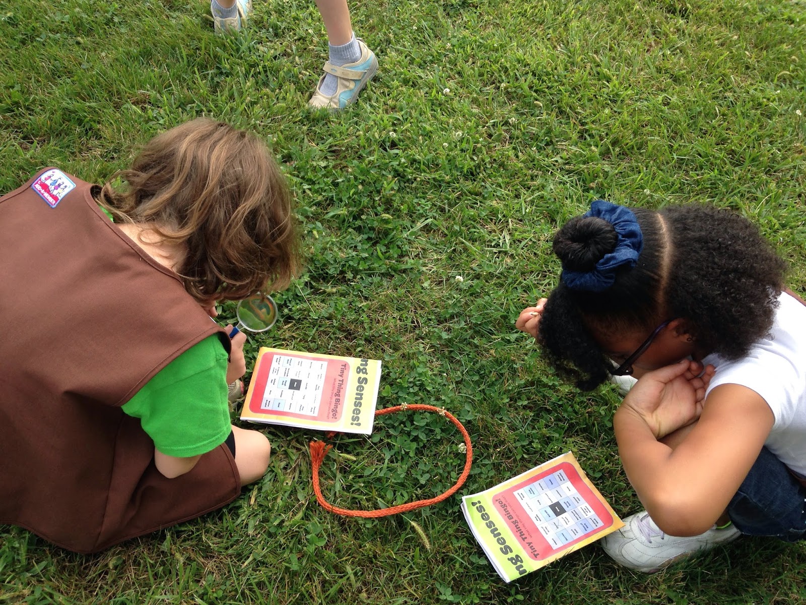 A Crafty Chick: Brownie Outing: Skill Building Badges - Home Scientist ...