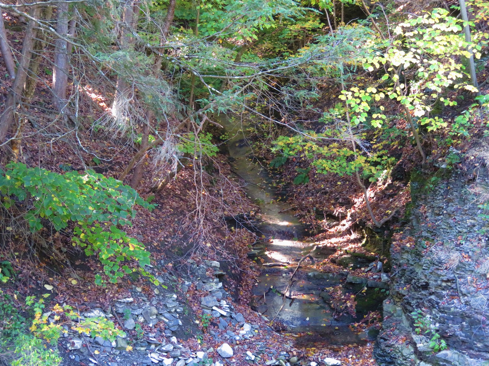 Hiking Walking in the Woods: Black Diamond Trail