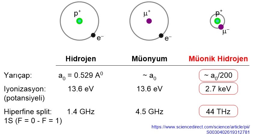 Prof. Dr. Bilsen Beşergil: Müonik Hidrojenin Atomik Yarıçapı (atomic ...