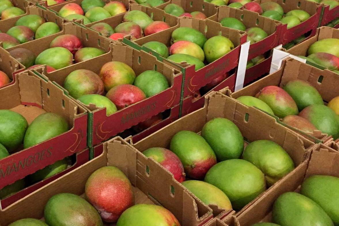 Nuestras frutas | Chankillo Farmers Perú
