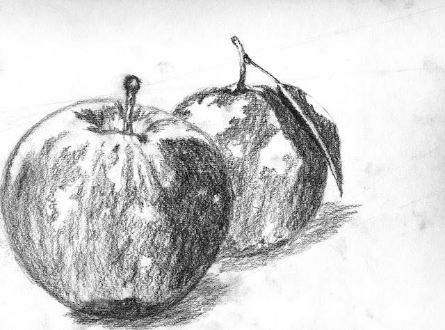 Observational Drawing: Still Life 2 Natural forms