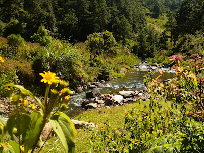 DiosUnionLibertad.com: Rio Sumpul