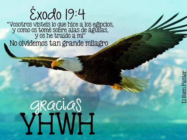 YO SOY EL BUEN PASTOR: Éxodo 19:4