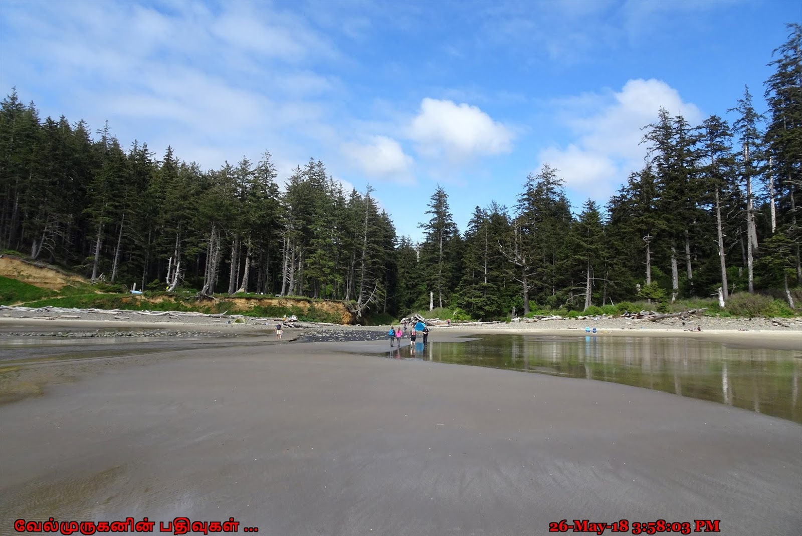 Short Sand Beach Oregon - Exploring My Life