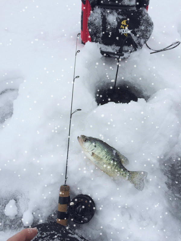 Darkstar72's Fishing Blog: Snowy Saturday Crappies