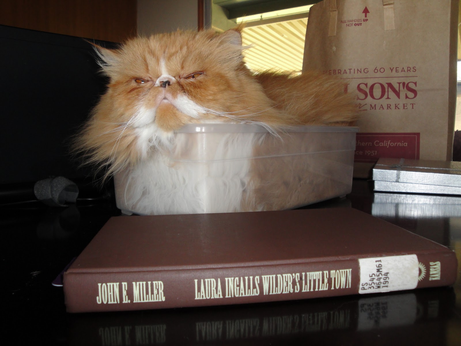 Cat Overlord spilleth over. : r/catpictures