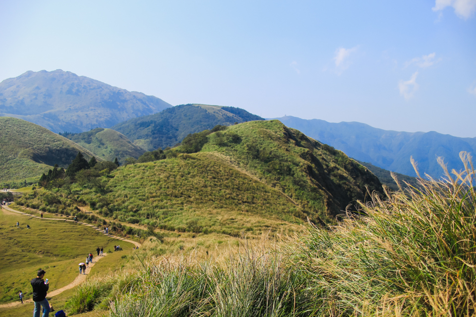 ink + adventure: Exploring Yangmingshan: QingTianGang Grasslands