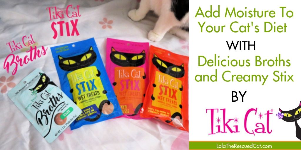 Tiki Cat Stix and Broths Will Transform Your Cats Meals - Review and ...