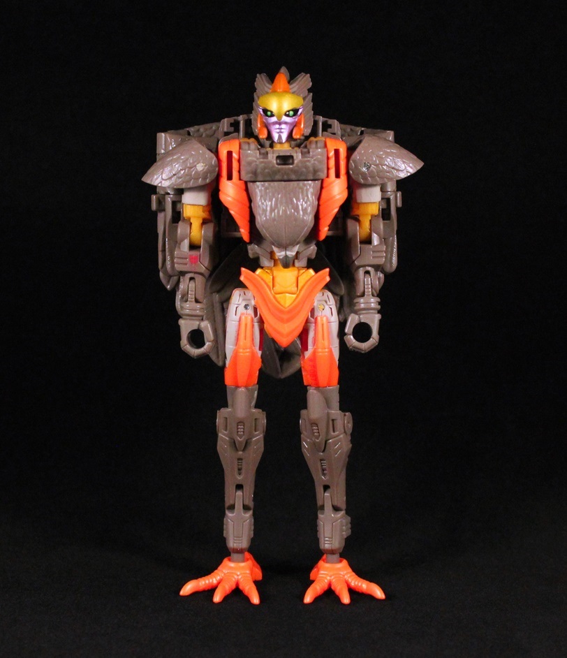 She's Fantastic: Transformers - AIRAZOR!