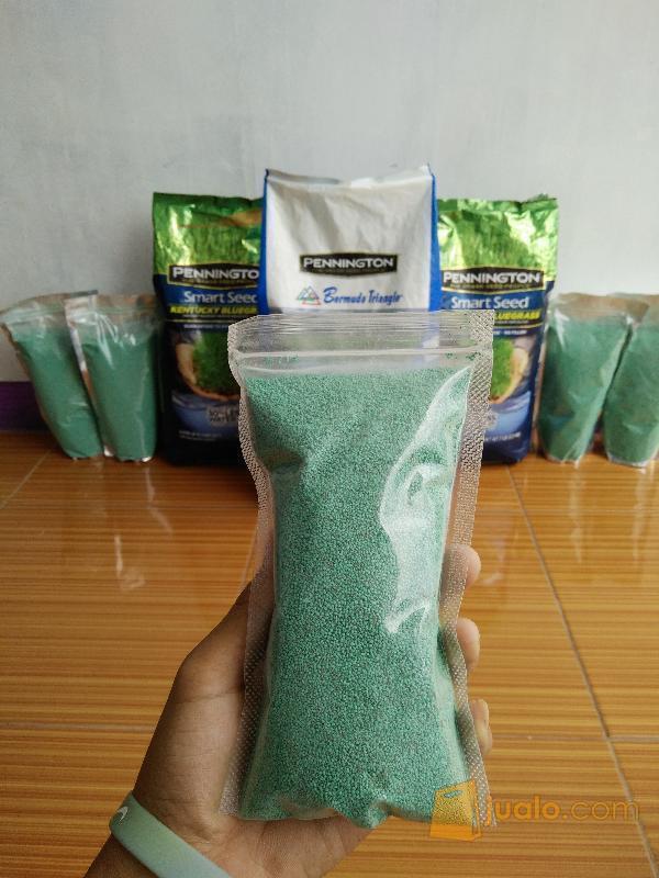 BIBIT RUMPUT - BIJI RUMPUT - BENIH RUMPUT - INDOGRASS