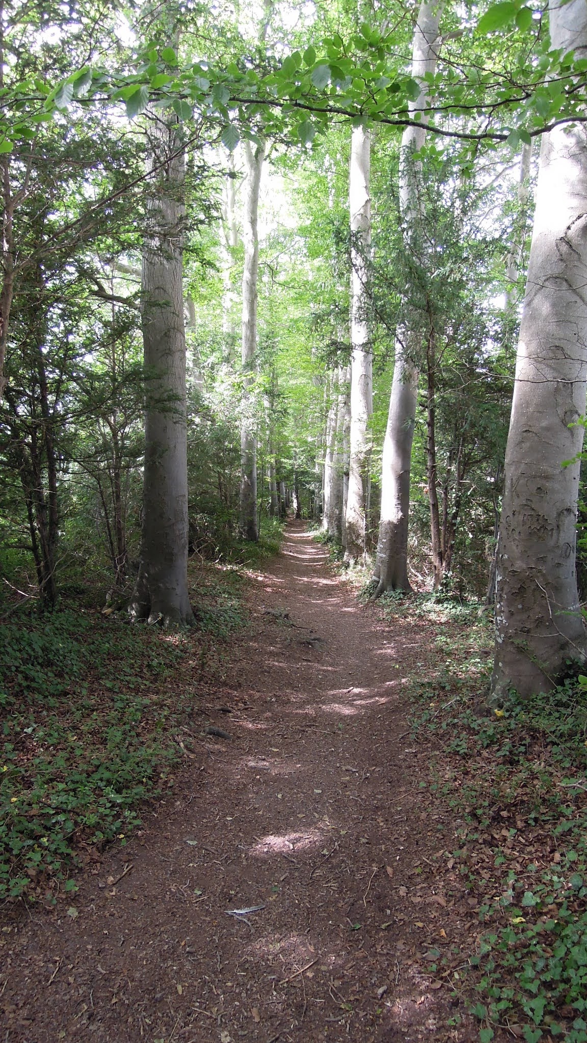 King Alfred's Way: Stonehenge to Avebury