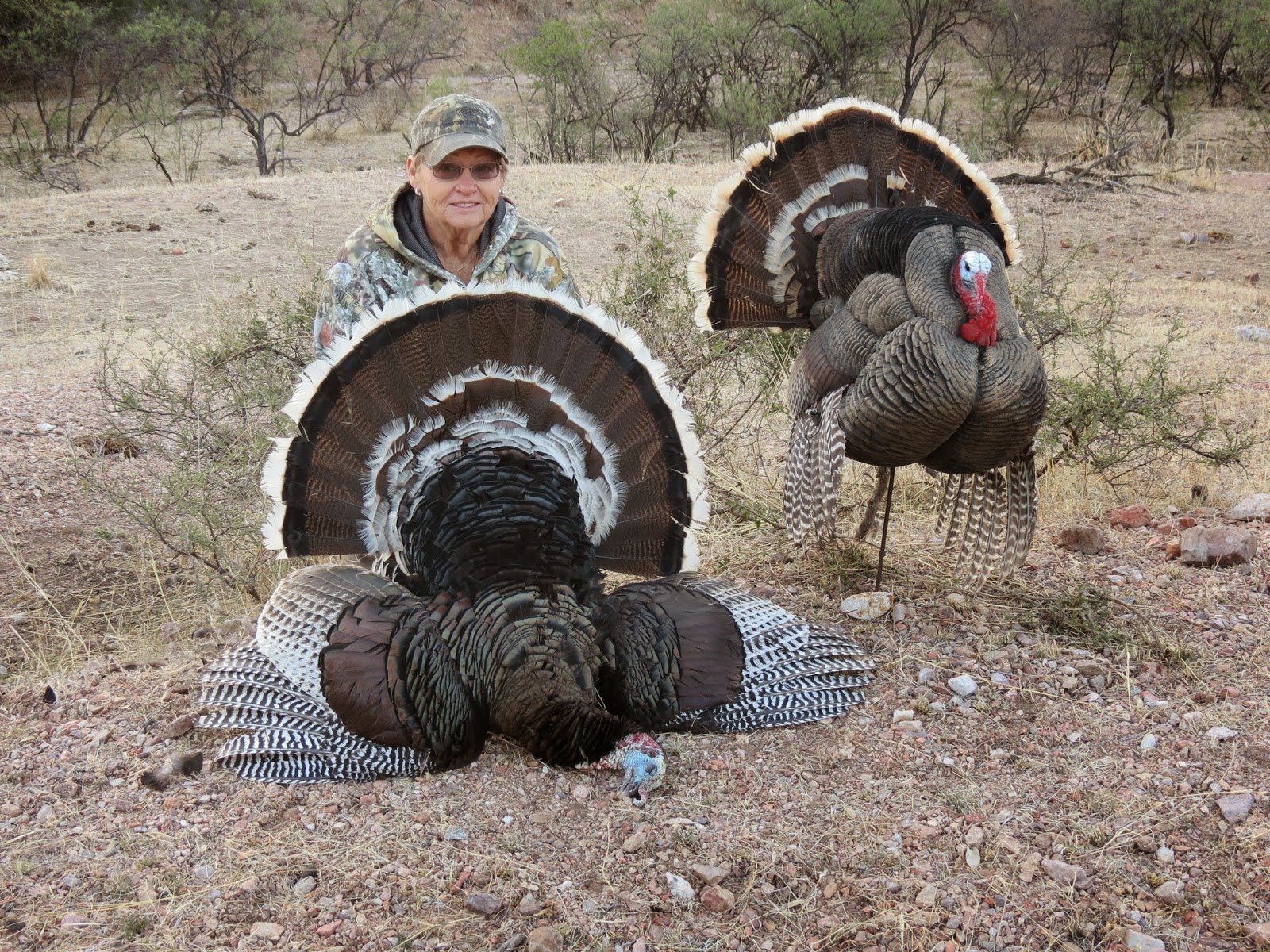 Goulds Turkey Hunt: 2014 Mexico Gould's Turkey Hunt-Peg and TJ Joiner