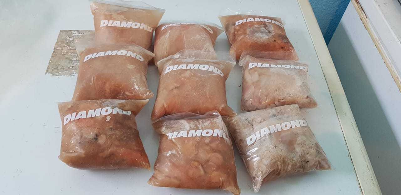 Segundo aseguramiento de Almeja Pismo en San Quintín, Baja California