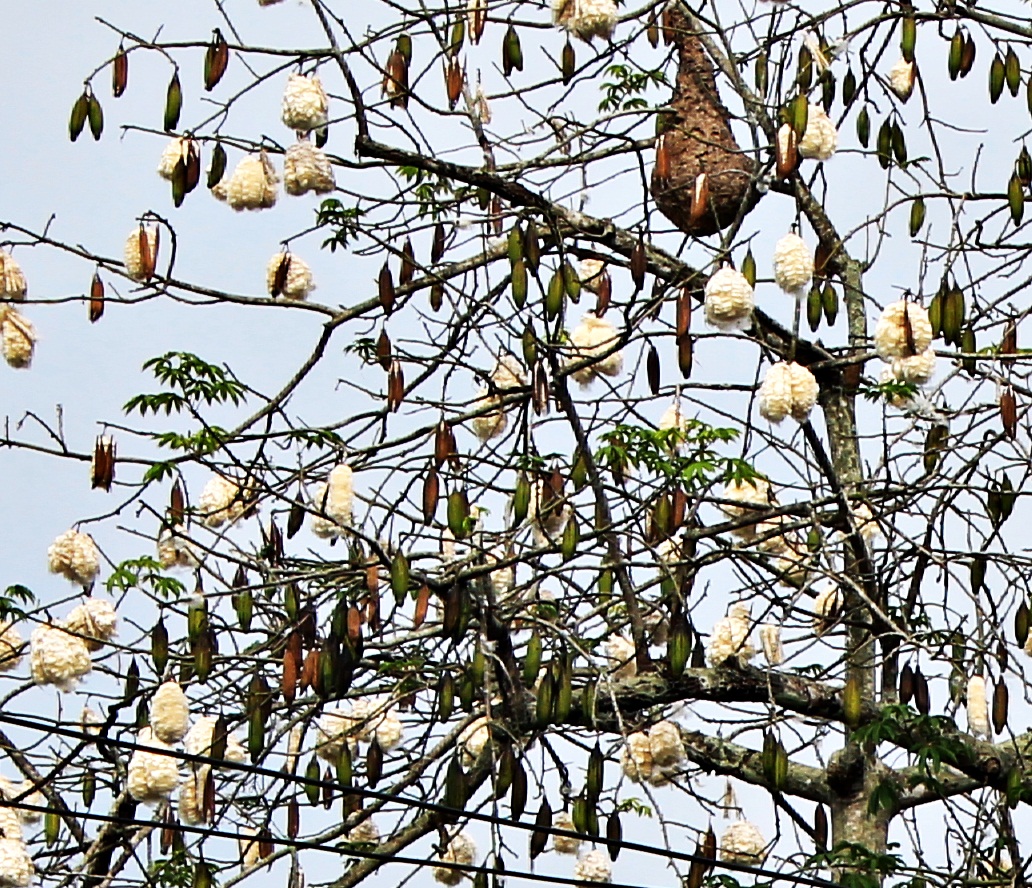 PERPUSTAKAAN DESA SIBER ILMU SUNGAI ACHEH