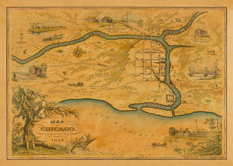 Wetlands: Definitions, Classification, and Conservation