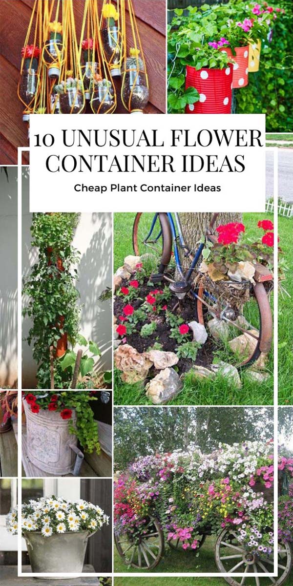 10 Unusual Flower Container Ideas For Garden [Cheap Plant Container]