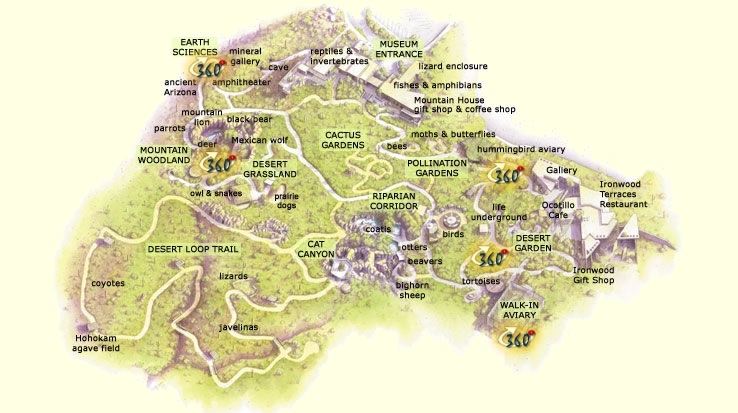 Tucson's Arizona-Sonora Desert Museum | Truck Camper Adventure