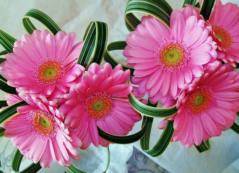 Decent Image Scraps: Flowers