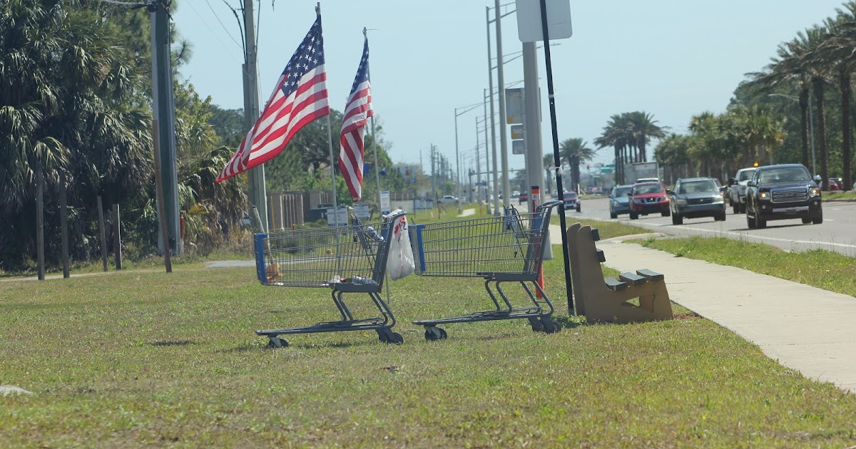 New Jax Witty: Last 30 Days: All About Baxter AKA Bax to the Max