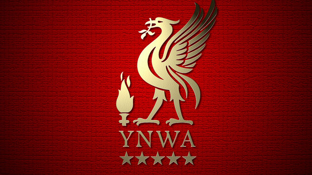 Bible Studies and Devotionals for Men: YNWA