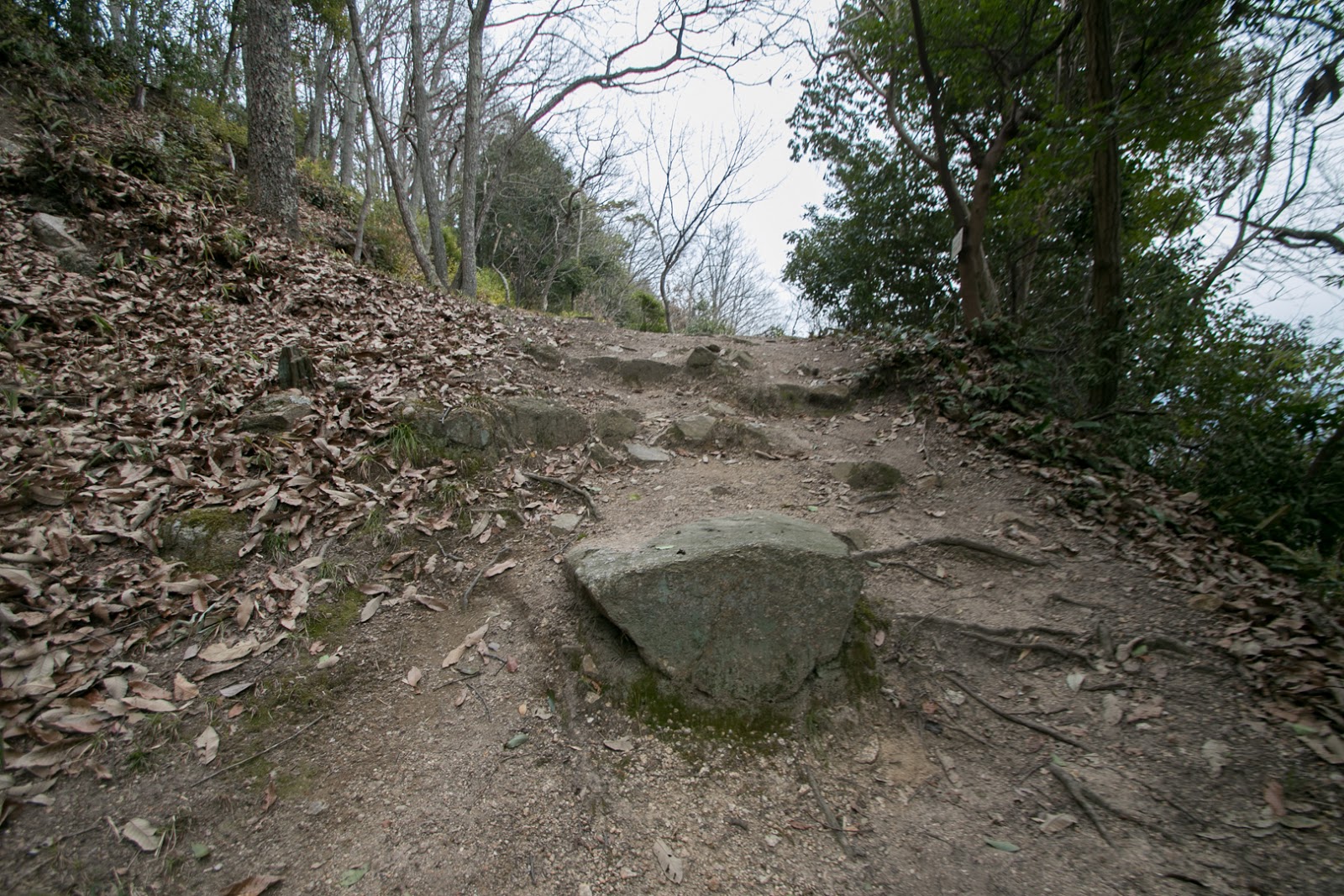 Niitakayama Castle -Intellectual pillar of Mouri clan (2)- | Japan ...