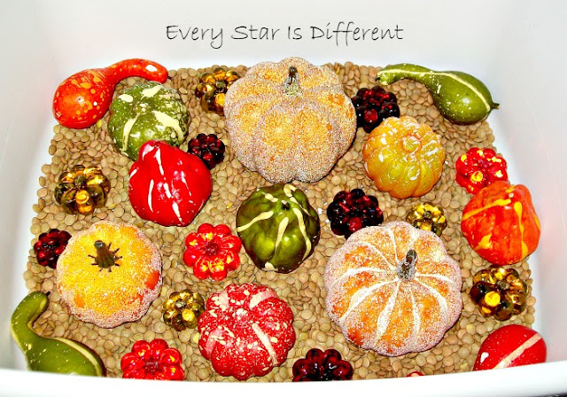 Fall Harvest Pumpkin Unit with Free Printables - Every Star Is Different