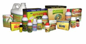 Hama Pada Tanaman Kopi Dan Cara Pengendaliannya - Distributor Nasa