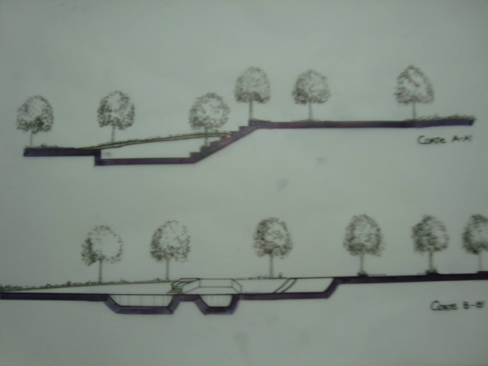 Diseño Arquitectonico 9: Diseño de los espacios (Área verde Mapasingue)